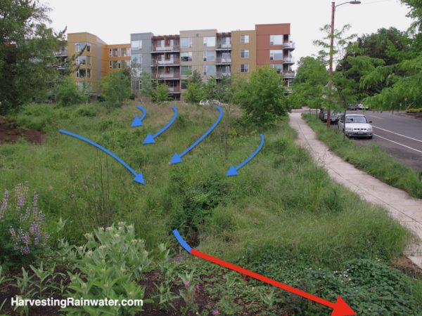 Daylighting buried waterways—show the flow—image gallery - Rainwater ...