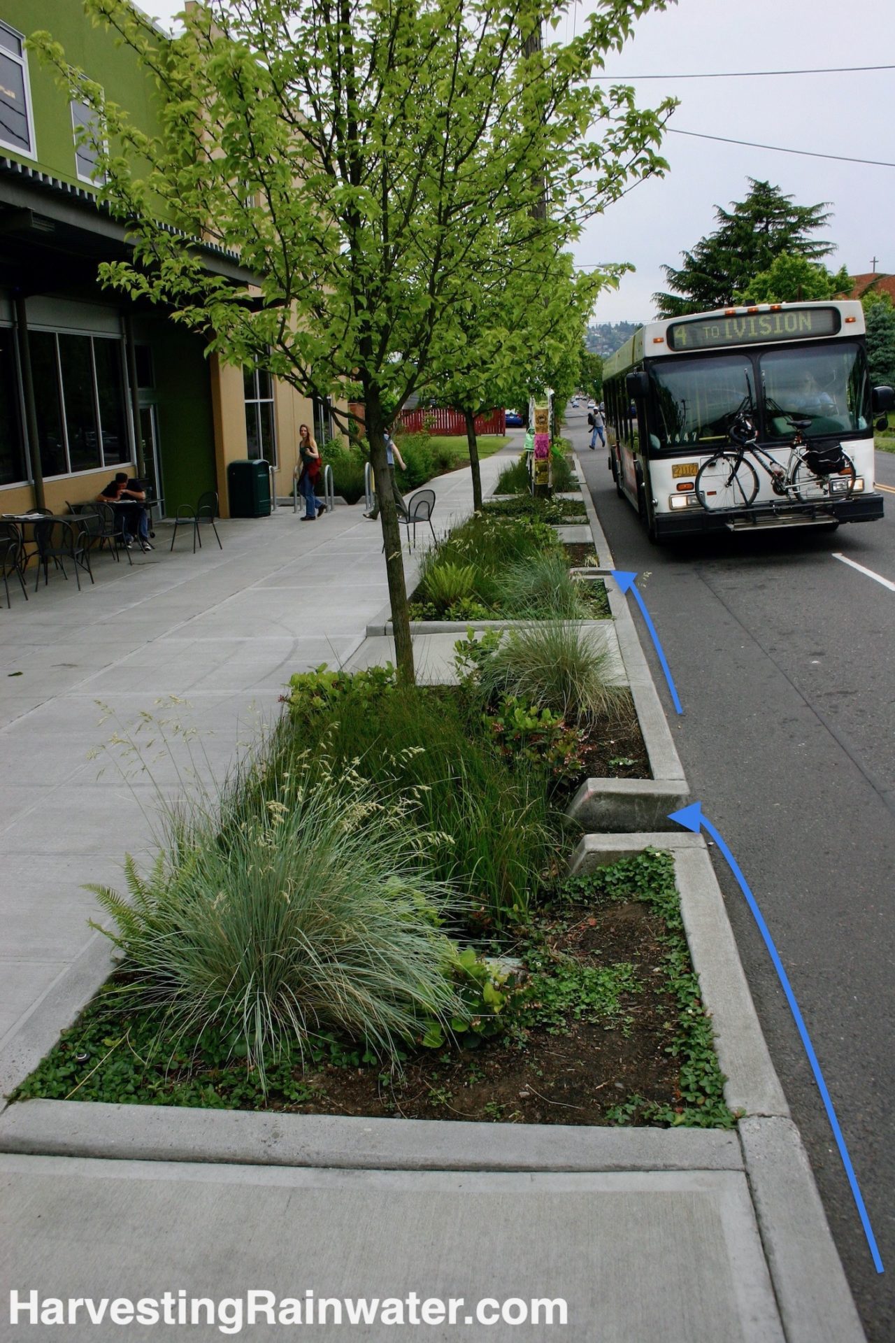 Street-side water harvesting image gallery - Rainwater Harvesting for ...