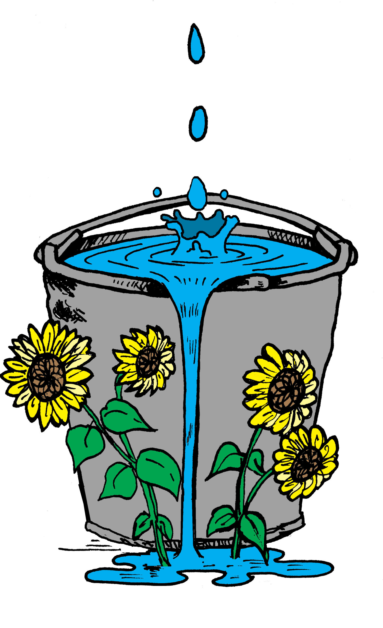 Drops in a Bucket - welcome to my new blog - Rainwater Harvesting for ...