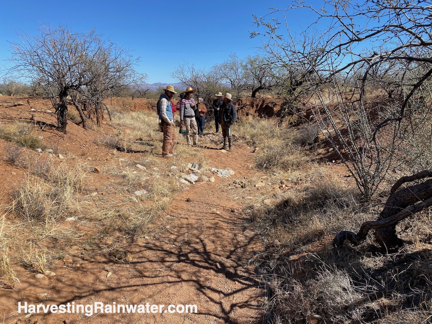 Shifting dehydrating, degrading ephemeral water channels to better ...