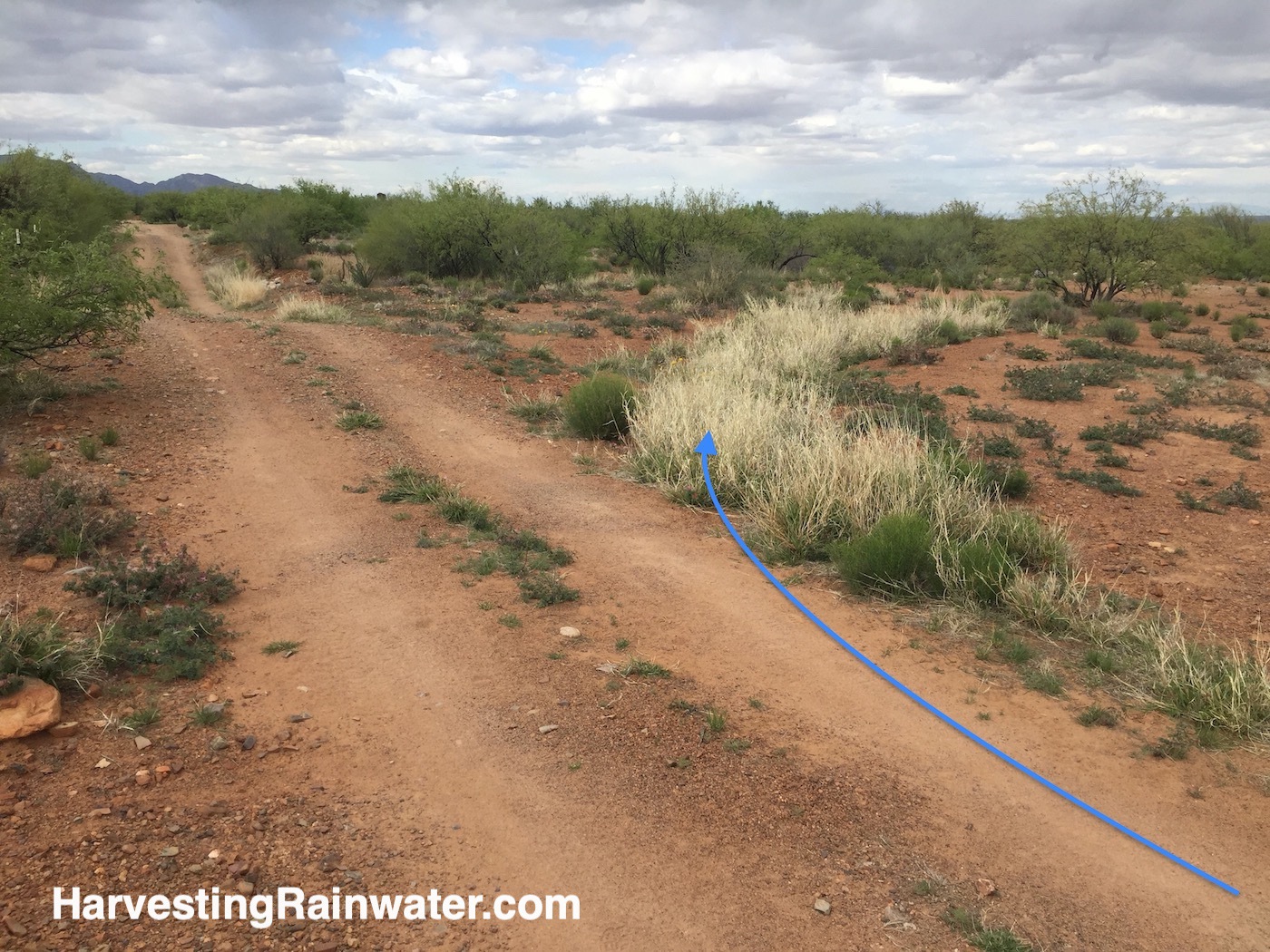 Shifting dehydrating, degrading ephemeral water channels to better ...