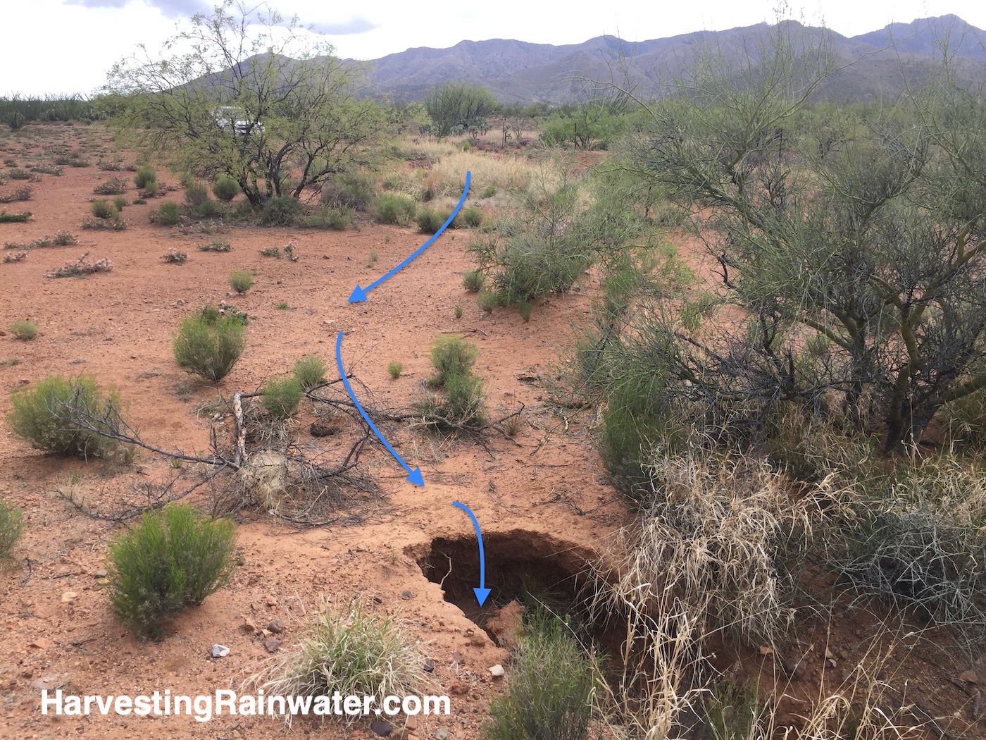 Shifting dehydrating, degrading ephemeral water channels to better ...
