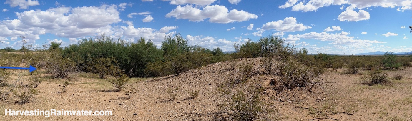 Avra Valley Swales – Rainwater Harvesting for Drylands and Beyond by ...