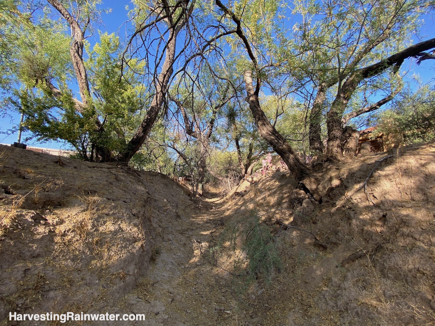 Acequias of the Tucson Basin – Rainwater Harvesting for Drylands and ...