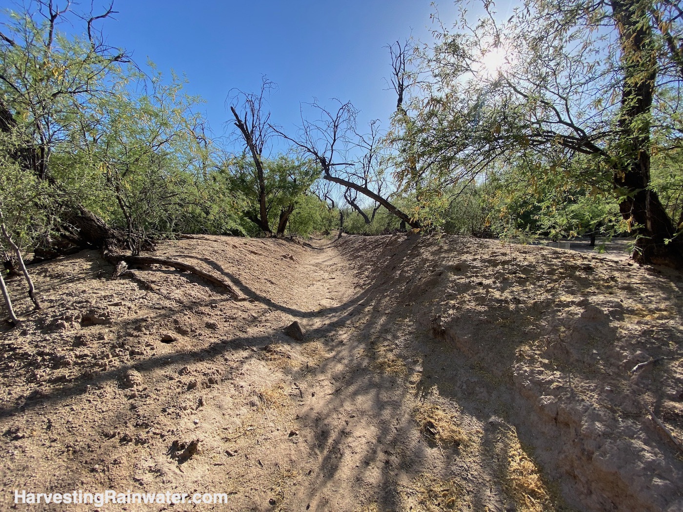 Acequias of the Tucson Basin – Rainwater Harvesting for Drylands and ...