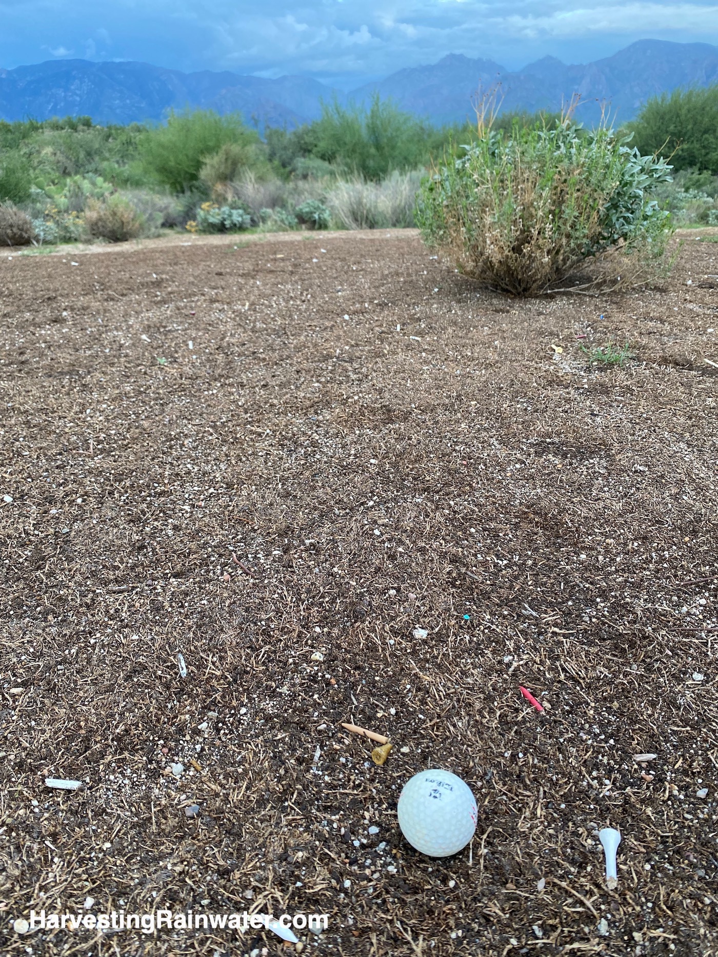 A failed golf course that neighbors turned into the Vistoso Trails ...
