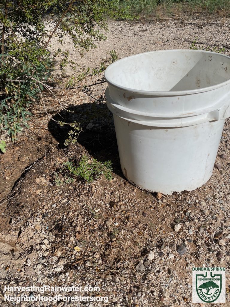 Drip irrigation buckets—a free, mobile drip irrigation system ...