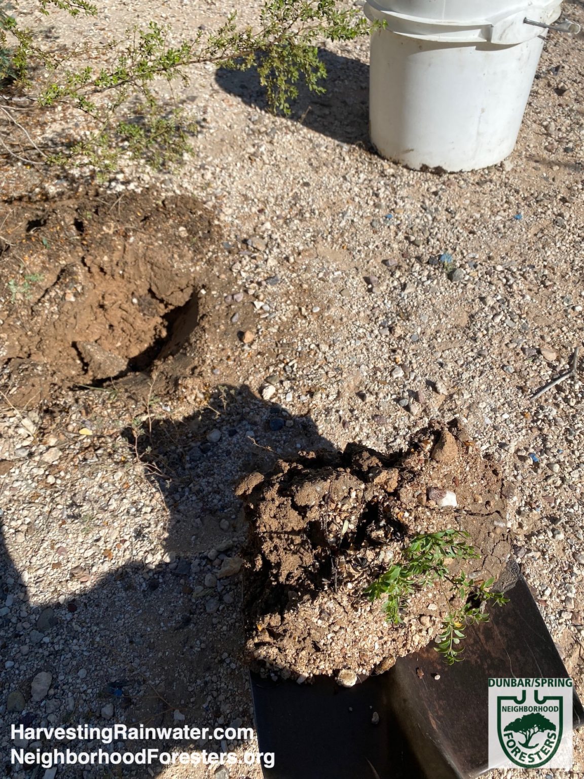 Drip irrigation buckets—a free, mobile drip irrigation system ...