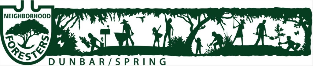 Events - Rainwater Harvesting for Drylands and Beyond by Brad Lancaster