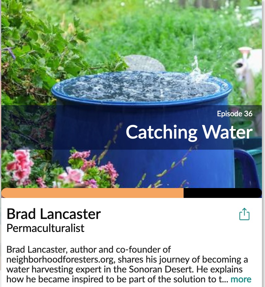 Catching Water audio interview - Rainwater Harvesting for Drylands and Beyond by Brad Lancaster